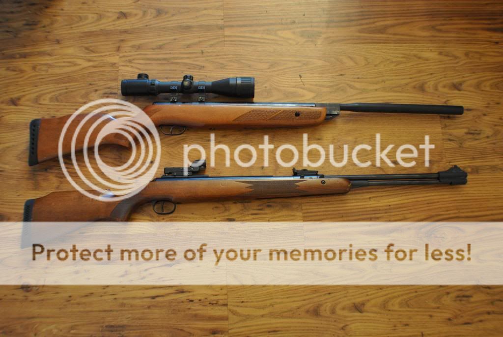 RWS Diana 34 .177 vs Gamo > General Discussion > AR15.COM